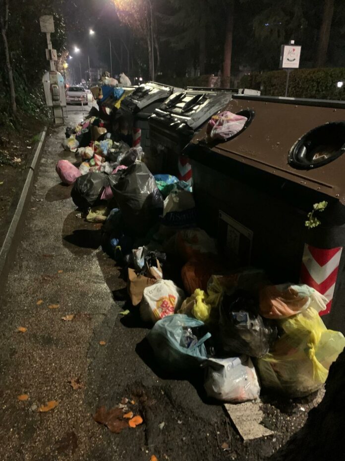 Invasione di topi nel XV Municipio di Roma causa rifiuti non ritirati ...